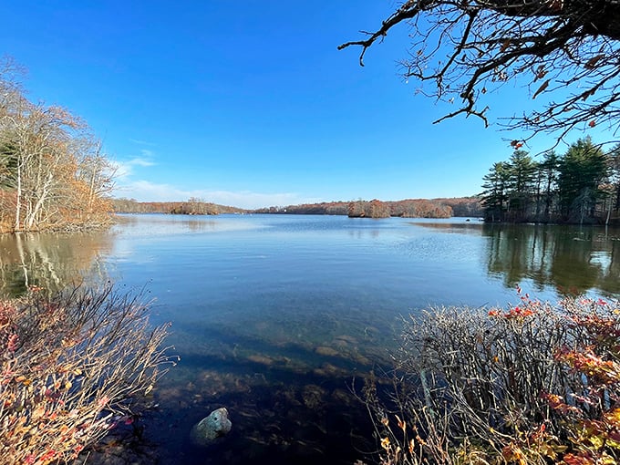 Mirror, mirror on the pond &ndash; Lincoln Woods' crystal waters reflect both sky and soul. Serenity doesn't get more photogenic than this.