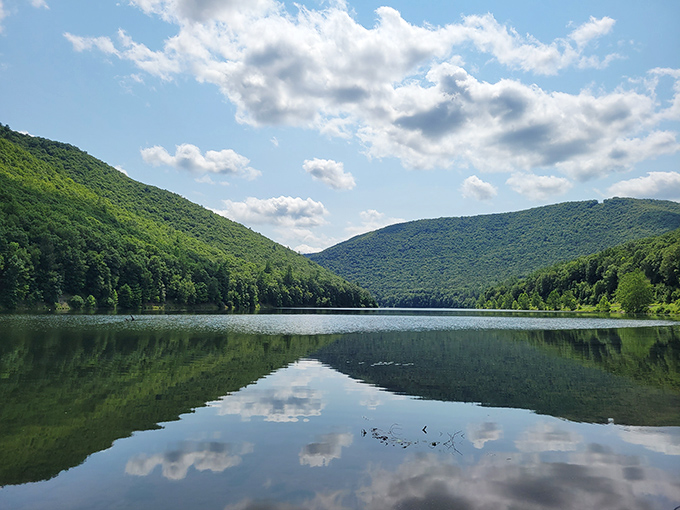 Mirror, mirror on the lake – this reflection game is so perfect it'll make you question reality.