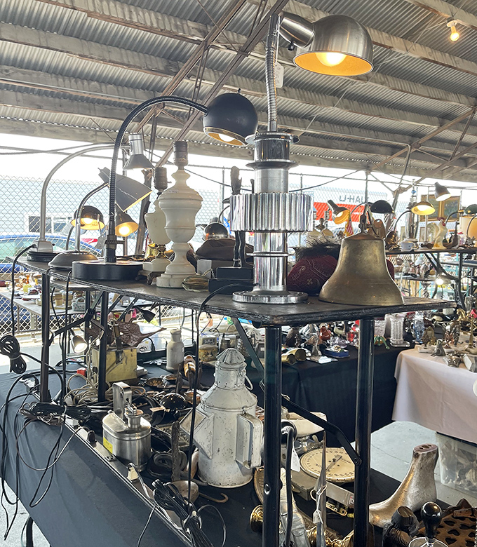 Vintage lighting fixtures hang like mechanical jellyfish, each with stories to tell about the homes they once illuminated.