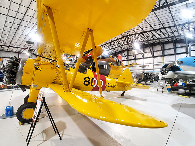 Legacy Flight Museum's bright yellow biplane whispers tales of aviation's golden age, when flying was magical and leg room wasn't considered a luxury upgrade.