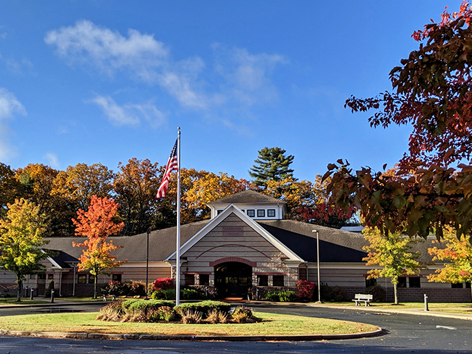 This welcoming library offers everything from bestsellers to community programs, all without requiring a second mortgage to enjoy.