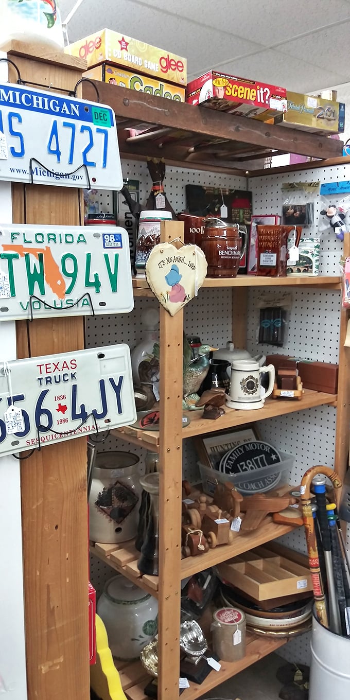 License plates from Michigan to Florida tell stories of road trips never taken and adventures waiting to be reimagined.