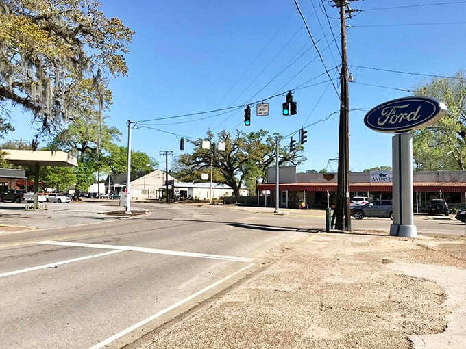 Main Street's quiet charm belies the vibrant community spirit. Those moss-draped oaks have witnessed centuries of St. Francisville stories.
