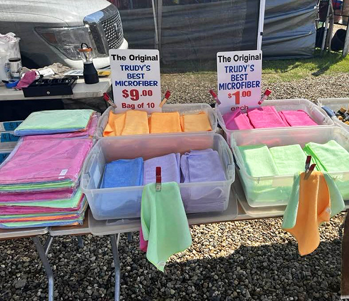 Cleaning enthusiasts unite! Trudy's rainbow of microfiber cloths promises to tackle everything from dusty shelves to foggy eyeglasses with military precision.