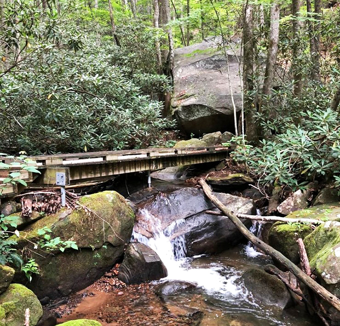 This humble wooden footbridge might not make architectural magazines, but it delivers you to some of South Carolina's most spectacular wilderness views.