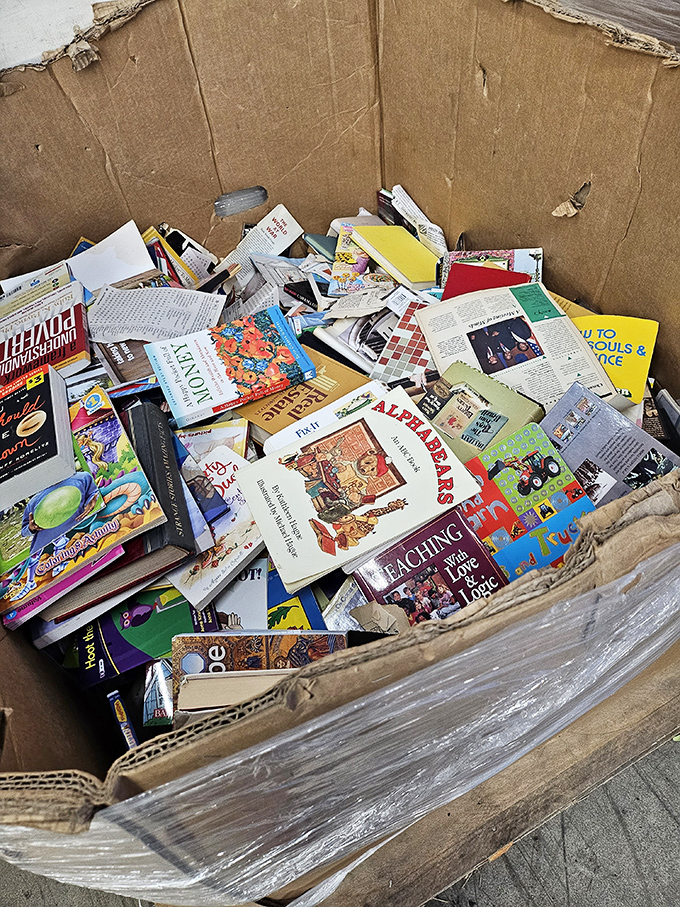Literary gold mines! These cardboard treasure chests hold everything from forgotten classics to last year's bestsellers.