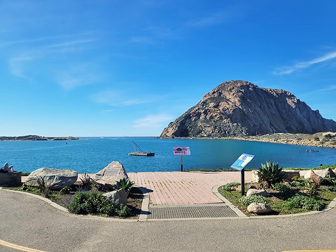 The perfect viewing spot to contemplate Morro Rock, where visitors often find themselves hypnotized by the gentle rhythm of bobbing boats.