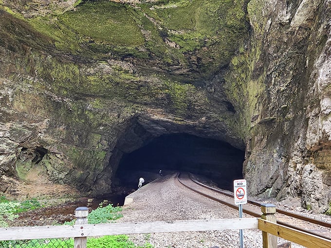 Mother Nature spent millions of years carving this limestone masterpiece. Talk about extreme home renovation &ndash; no power tools required! 