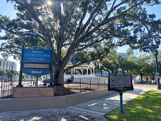 The Historic Downtown Square's majestic oak trees have witnessed generations of Ocalans gathering beneath their sprawling branches, creating a natural cathedral in the heart of the city.