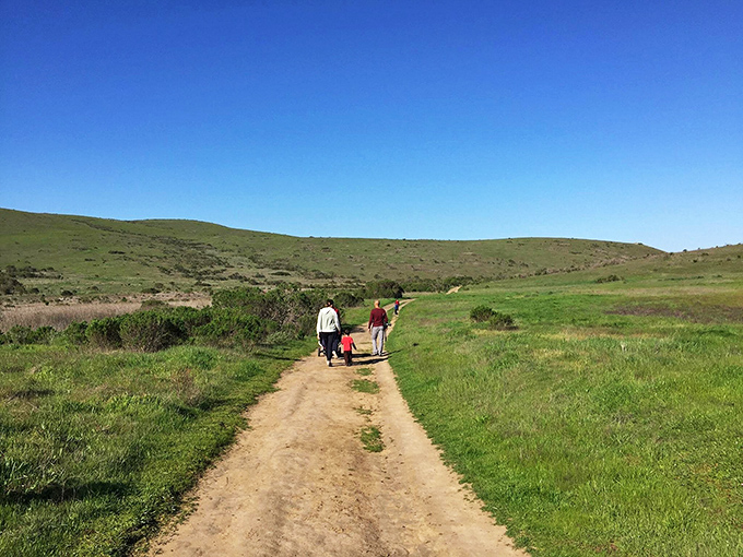 The path less traveled leads adventurous souls through emerald meadows under impossibly blue skies&mdash;California's version of "The Wizard of Oz."