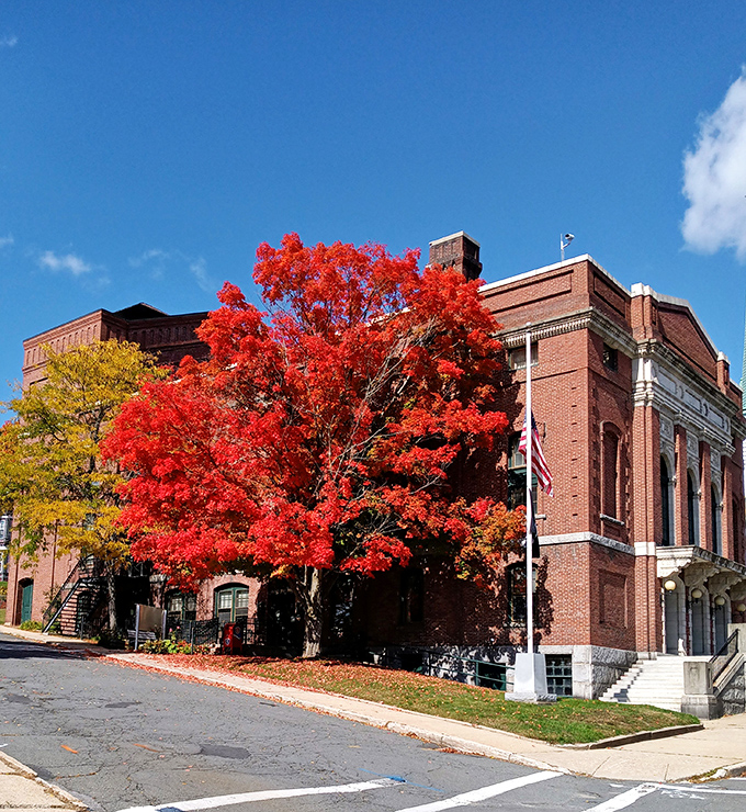 That magnificent brick building shows Orange takes its civic architecture seriously, even if rent prices remain refreshingly casual.