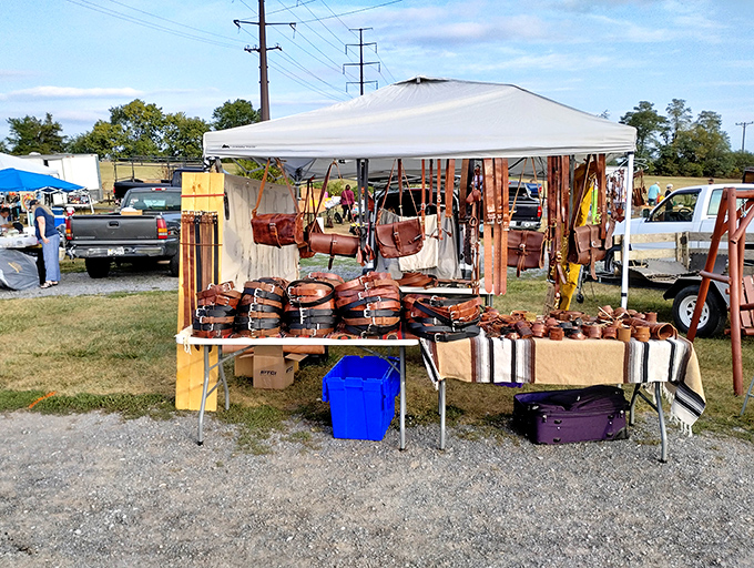 A colorful patchwork of vendor tents stretches across the grounds, each one a mini-universe of possibilities under the vast Virginia sky.