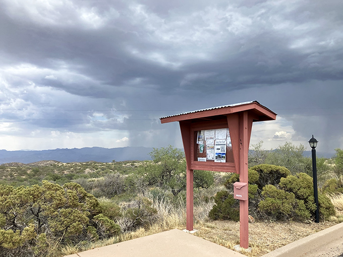 Storm clouds gather over Oracle's information kiosk, nature's way of saying "plot twist coming in today's outdoor adventure!"