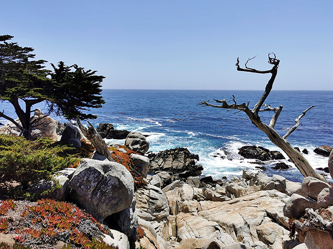 Nature's own sculpture garden. Wind-carved cypress and dramatic rock formations create a scene straight out of a watercolor masterpiece.