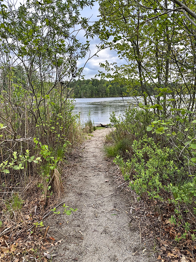 Nature's secret passageways reveal themselves to those willing to follow the trail less traveled. Adventure awaits just beyond the greenery.