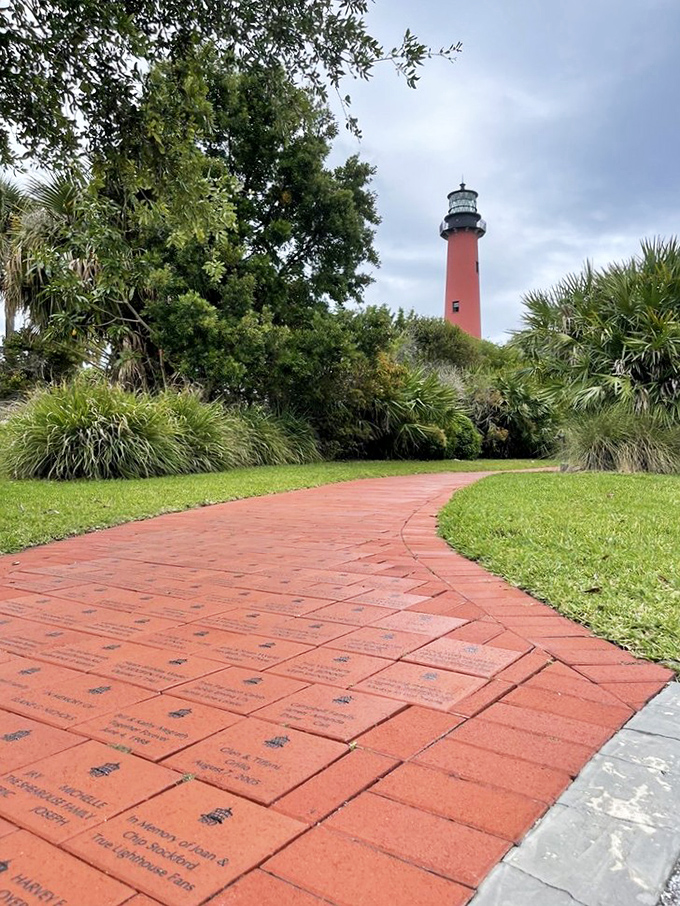 Nature's red carpet treatment! This brick pathway, inscribed with stories of visitors past, leads you to Florida's most photogenic tower.