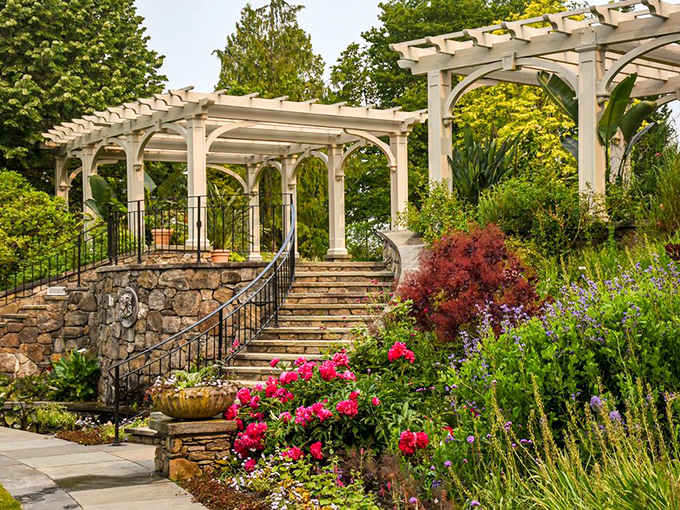 The elegant pergola garden combines architectural precision with floral abandon&mdash;proof that sometimes the best relationships are between structure and chaos.