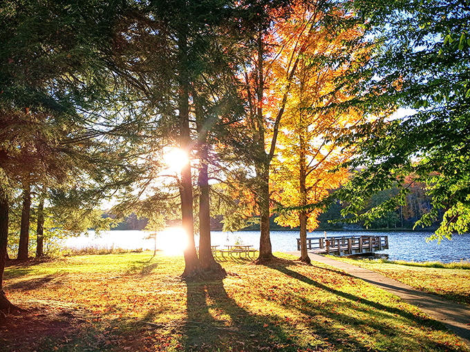 Golden hour transforms ordinary picnic tables into front-row seats for nature's most spectacular light show. Worth every minute of the drive.