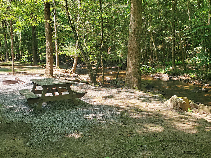 Riverside dining at its most authentic&mdash;this picnic spot offers a soundtrack of bubbling water that beats any restaurant's curated playlist.