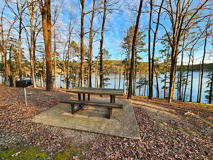 The perfect lunch spot doesn't exi— Oh wait, here it is! Picnic tables with million-dollar views make PB&Js taste like gourmet fare.