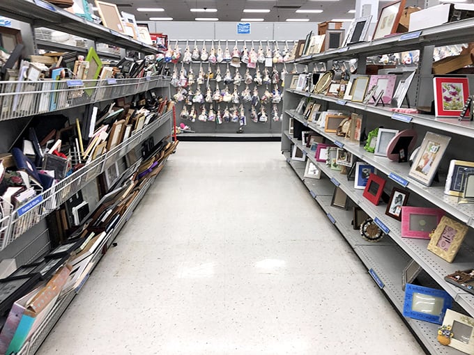 Picture frames galore! From ornate gilded borders to sleek modern designs, your memories deserve better homes than your phone's gallery.