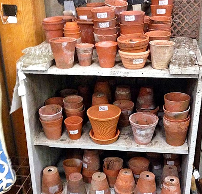 Weathered terracotta pots tell silent stories of gardens past, their earthy patina a badge of honor earned through seasons of faithful service.
