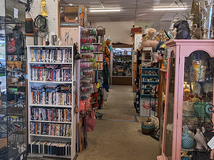 Narrow pathways create a delightful maze of possibility, where DVDs, trinkets, and memories-in-waiting line shelves in organized chaos.