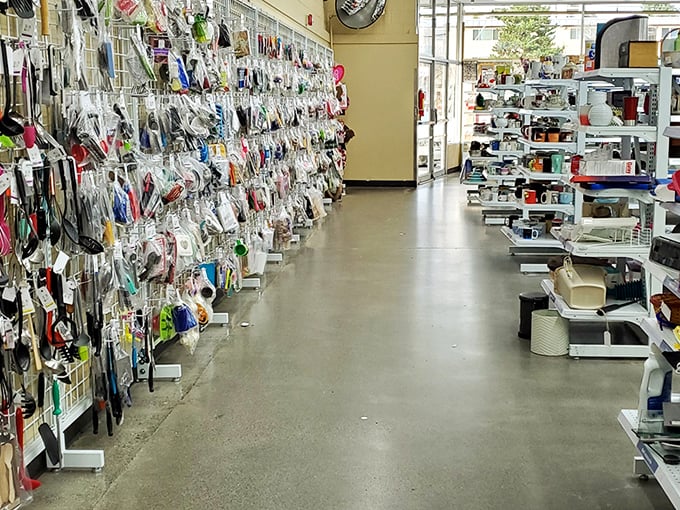 Aisle after aisle of kitchen gadgets and household items &ndash; someone's abandoned bread machine might become your next culinary obsession.
