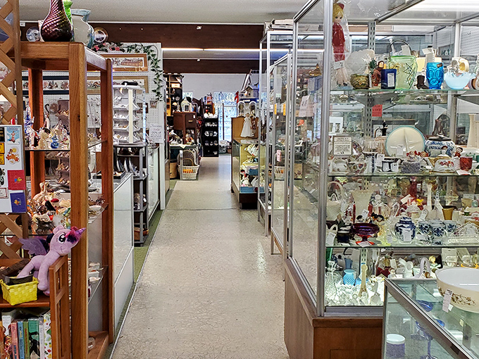 Glass cases gleam like aquariums filled with history instead of fish. Each aisle promises discoveries your smartphone can't replicate.