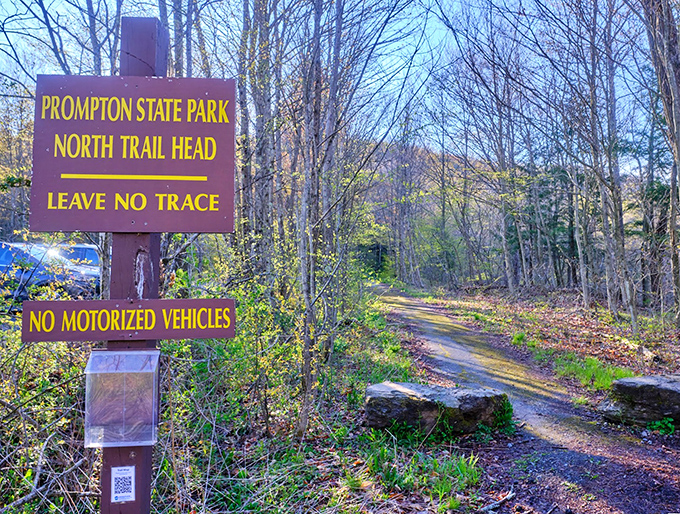 "Leave No Trace" isn't just good advice&mdash;it's the golden rule at Prompton's North Trail Head, where adventures begin and stress disappears.