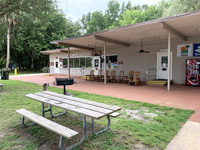 The ranger station and ferry dock: your gateway to an island that time cheerfully forgot to update.