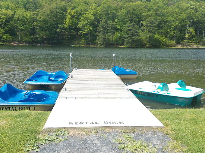 The rental dock stands ready for adventure, with blue and teal boats patiently waiting like eager puppies hoping to be chosen for a lake excursion.
