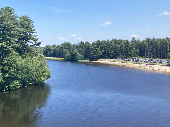 Summer sanctuary in full swing. The beach at Hopkinton offers that rare combination: clean water, ample space, and not a single inflatable unicorn in sight.
