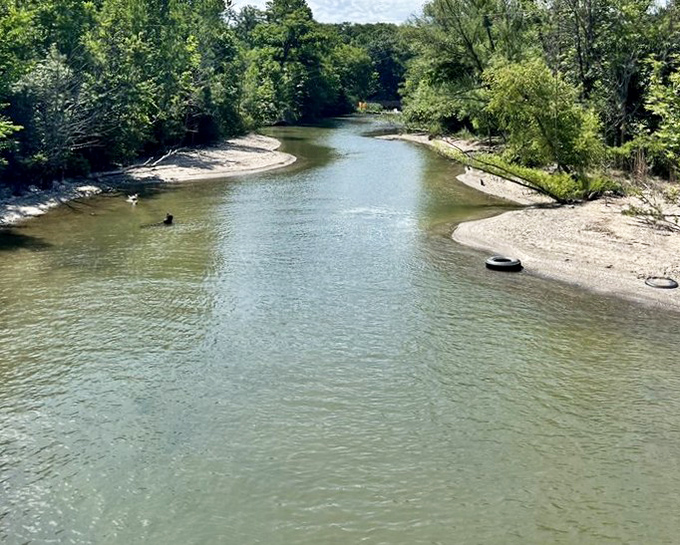 Nature's own lazy river winds through the park, offering a serene backdrop for contemplation or the perfect spot for impromptu stone skipping championships.