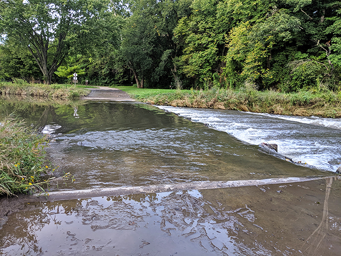 That subtle cascade over the low dam creates the kind of soothing white noise that makes meditation apps obsolete.