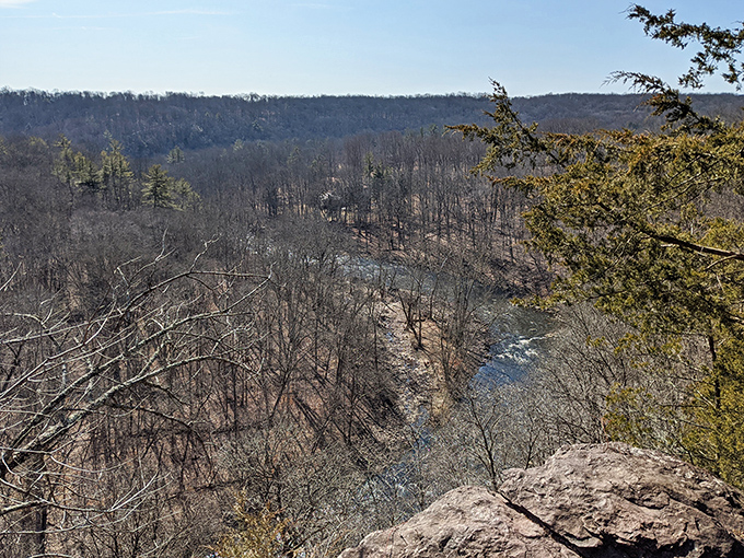 Winter reveals the skeleton of the forest. Like seeing the architectural blueprints of nature itself, with Tohickon Creek as the building's foundation.