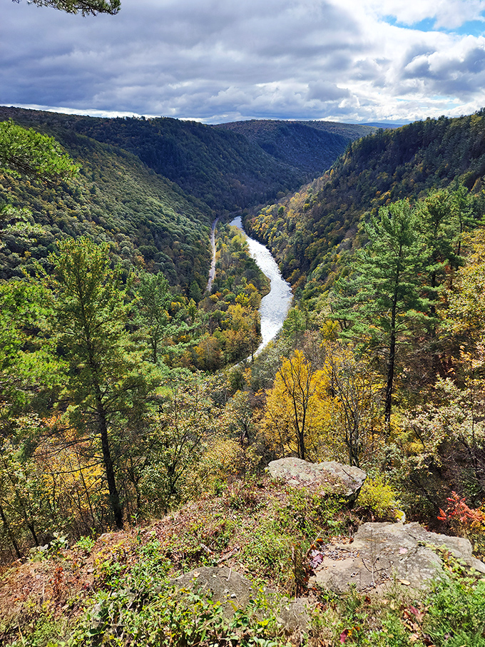 The Pennsylvania Grand Canyon unfolds below like nature's ultimate reveal, making even the most jaded traveler pause mid-sentence in awe.
