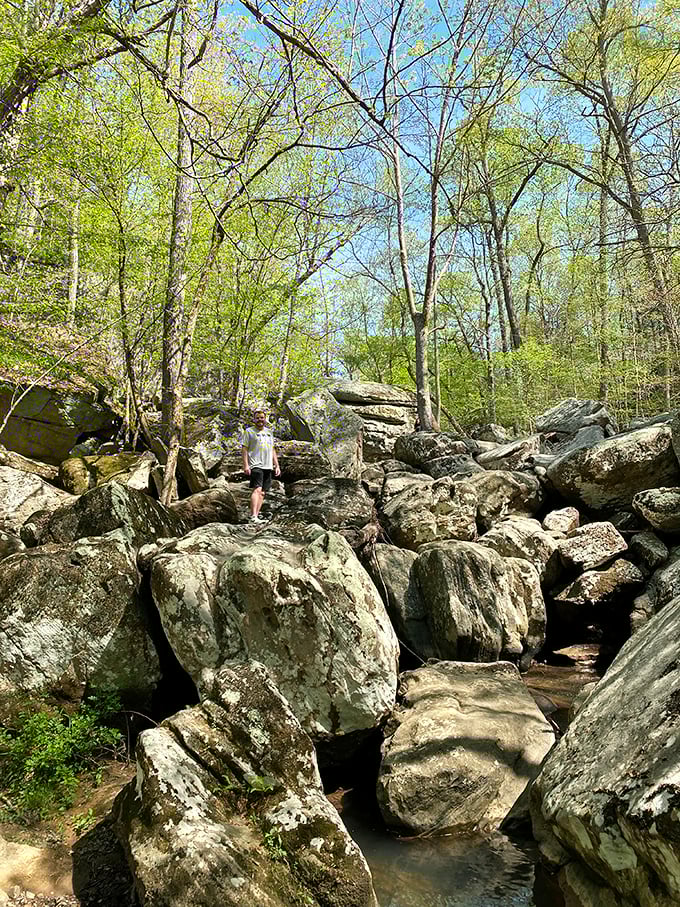 Rock formations that would make Fred Flintstone feel right at home. Mother Nature's playground has been millions of years in the making.