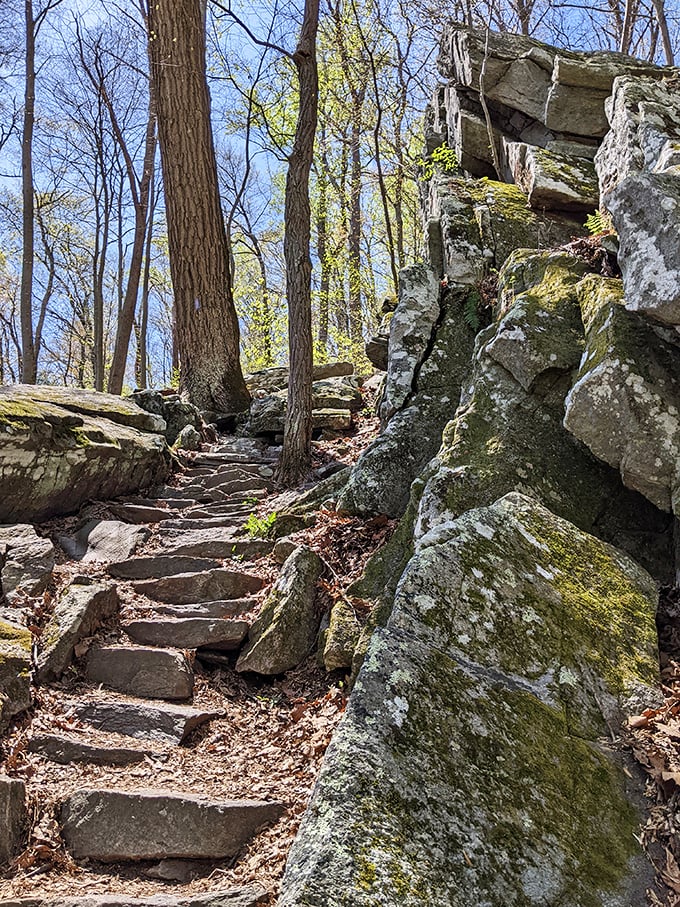 Mother Nature's stairmaster rewards those who persevere with stone steps leading to views that no gym membership could ever provide.
