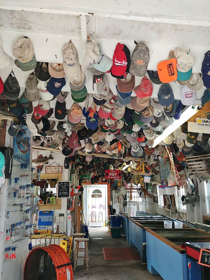 Where hats go to retire: The ceiling collection tells stories of countless fishing trips, sunburns, and "the one that got away."