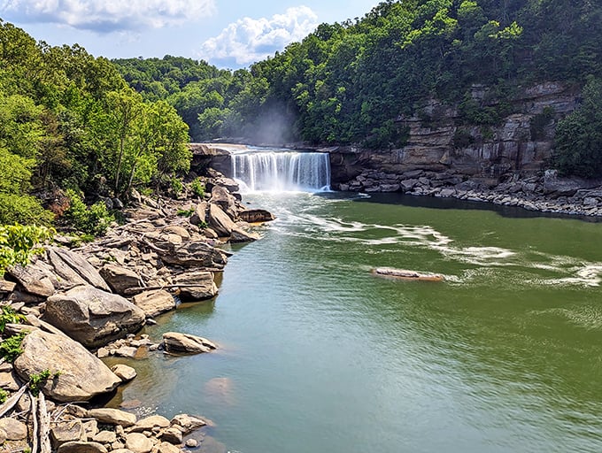 The "Niagara of the South" shows off its summer splendor, proving Kentucky keeps some of its most spectacular views hiding in plain sight.