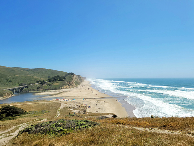 Nature's panoramic masterpiece unfolds where San Gregorio Creek meets ocean waves, creating a postcard moment no filter could improve.