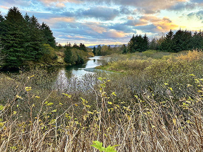 Nature's paintbrush at work: The Buskin River winds through golden meadows and evergreen forests, creating a masterpiece worthy of the Alaskan wilderness.