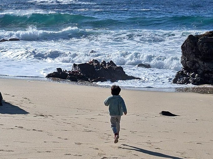 Childhood joy meets Pacific power. This little explorer reminds us all that sometimes the best entertainment is simply watching waves crash against ancient rocks.