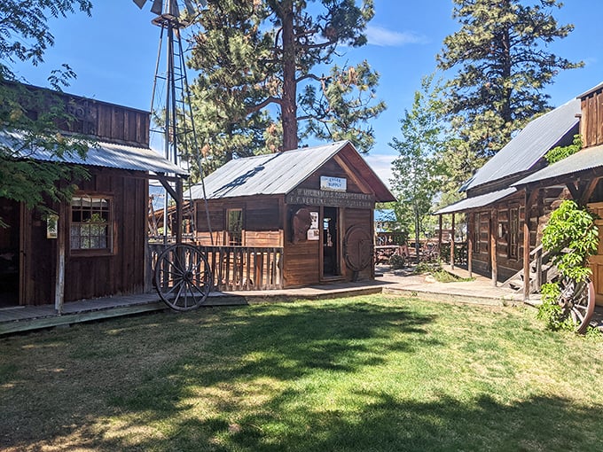 The Shafer Museum's collection of pioneer buildings offers a fascinating glimpse into frontier life, where every weathered plank tells a story of the past.
