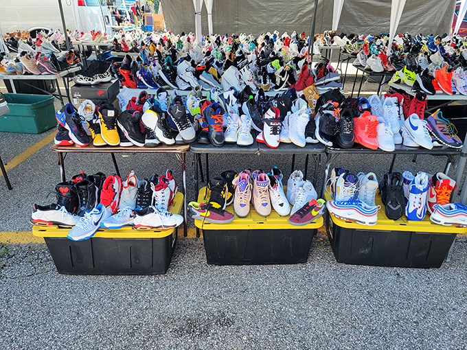 A sneakerhead's dream come true! Hundreds of colorful kicks lined up like soldiers, each pair with its own story and journey ahead.