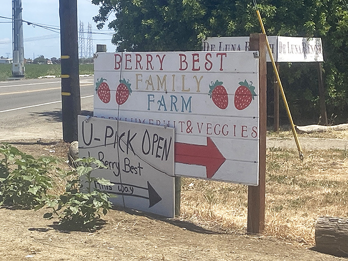 This charming hand-painted sign points the way to berry bliss&mdash;no GPS required, just follow your fruit-loving instincts.