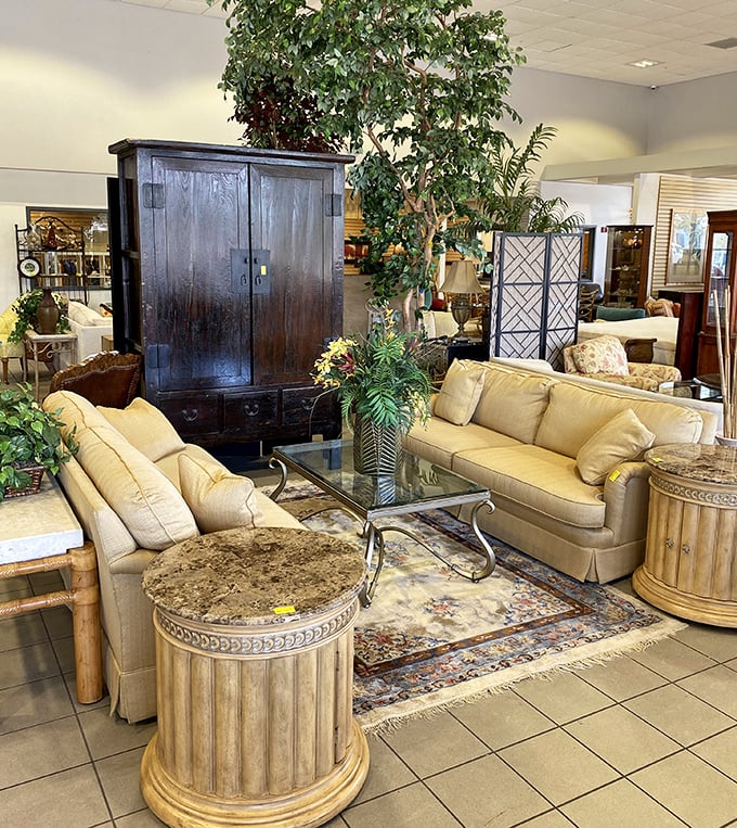 This isn't just a furniture display&mdash;it's a masterclass in secondhand sophistication. That antique armoire has probably seen more history than your high school textbook.