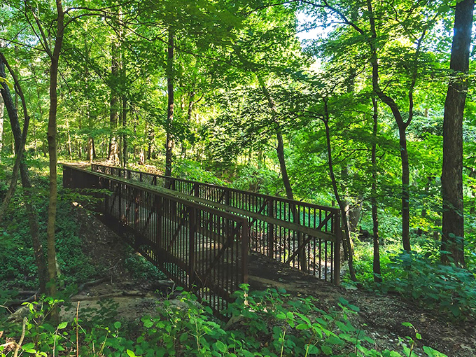 Like something from a fairy tale, this footbridge invites visitors to cross into a verdant wonderland of ancient trees and dappled sunlight.