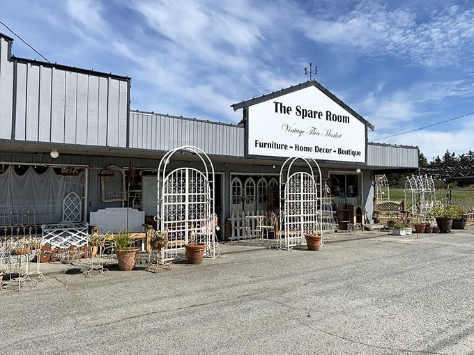 "Vintage. Flea Market. Furniture." Three simple words that promise hours of delightful discovery beneath that big Washington sky.